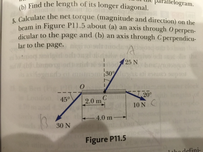 Solved Calculate The Net Torque Magnitude And Direction