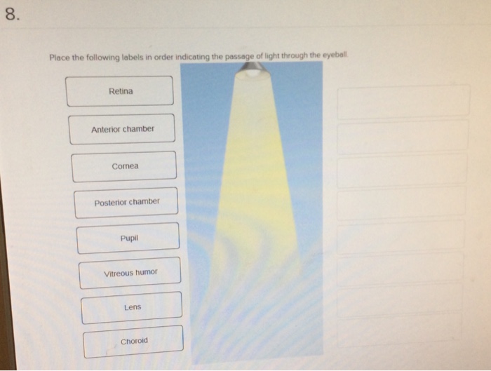 Solved: Place The Following Labels In Order Indicating The... | Chegg.com Solved: Place The Following Labels In Order Indicating The... | Chegg.com