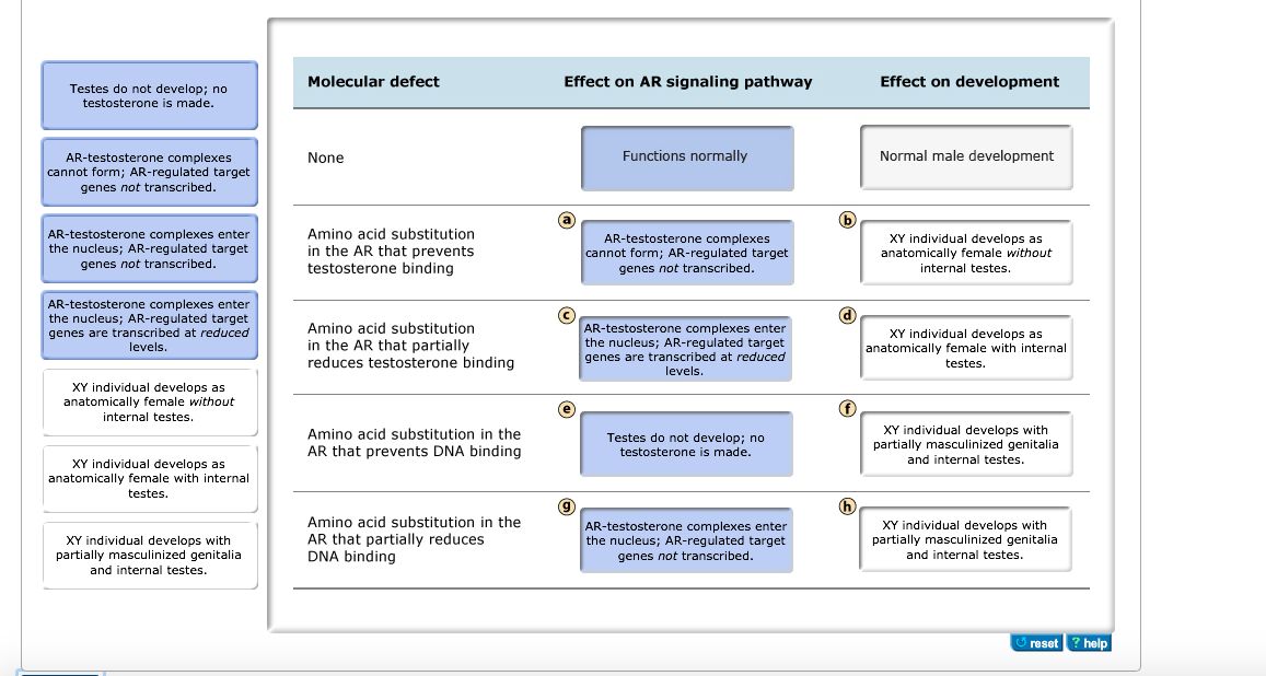 Solved Part D Predicting The Effects Of Different Mutat