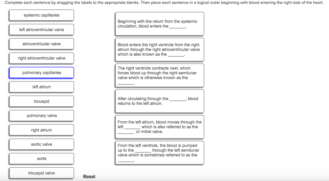 Solved: Complete Each Sentence By Dragging The Labels To T... | Chegg.com Solved: Complete Each Sentence By Dragging The Labels To T... | Chegg.com