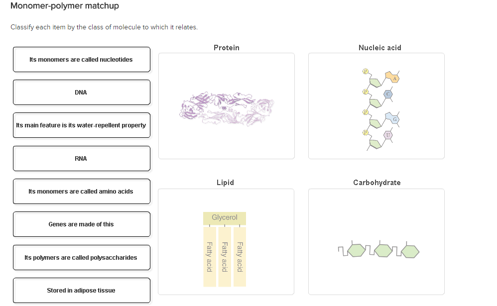 Solved: Classify Each Item By The Class Of Molecule To Whi... | Chegg.com Solved: Classify Each Item By The Class Of Molecule To Whi... | Chegg.com