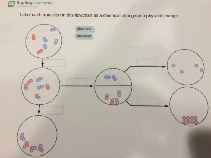 Solved: Sapling Learning Label Each Transition In This Flo... | Chegg.com Solved: Sapling Learning Label Each Transition In This Flo... | Chegg.com