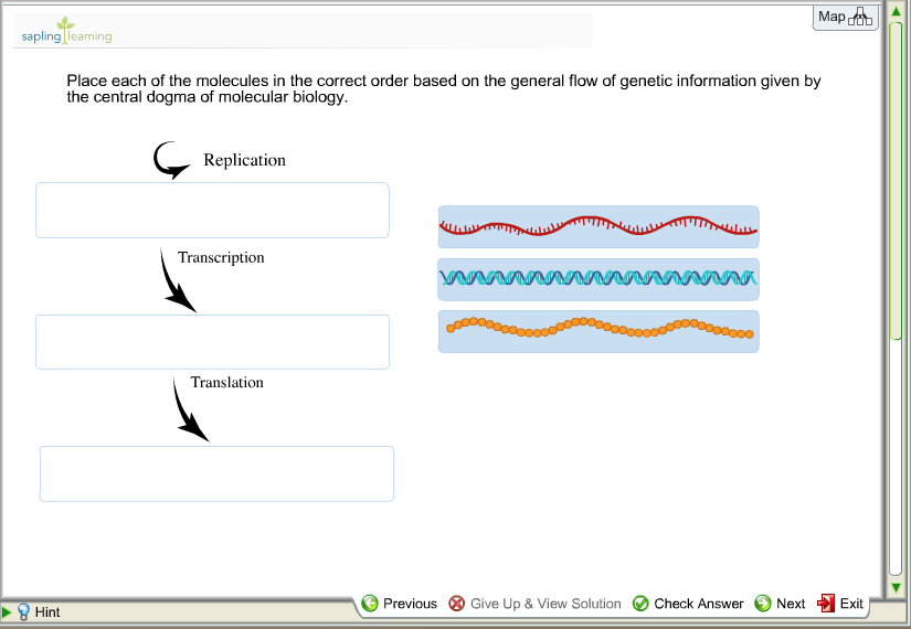 Solved: Map Sapling Earning Place Each Of The Molecules In... | Chegg.com Solved: Map Sapling Earning Place Each Of The Molecules In... | Chegg.com