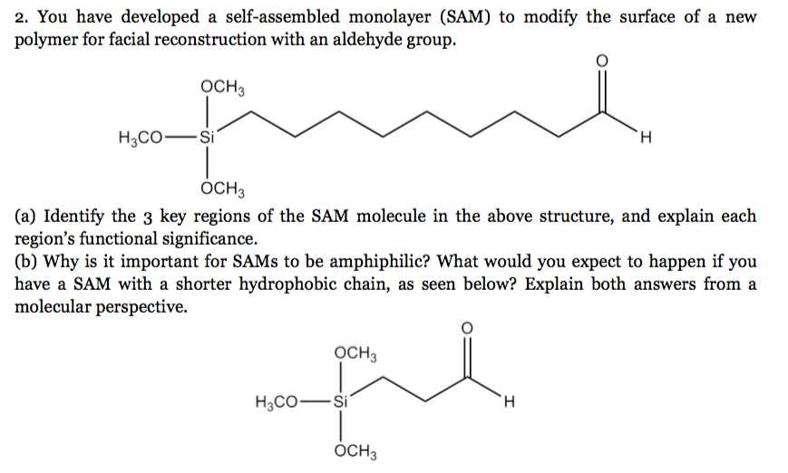 Sam Structure