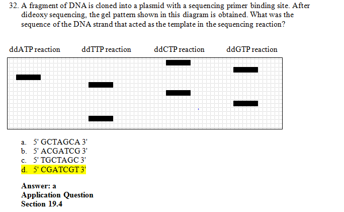 Solved 32. A fragment of DNA is cloned into a plasmid with a Solved 32. A fragment of DNA is cloned into a plasmid with a