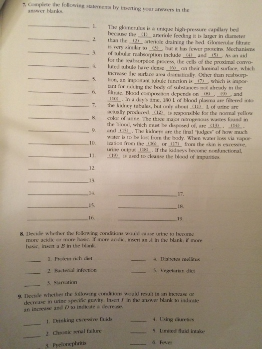 Urinary System A P Chapter 15 Urinary System Chapter 15: The Urinary