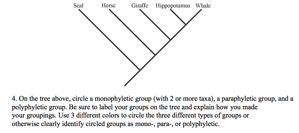 Solved: On The Tree Above, Circle A Monophyletic Group (wi... | Chegg.com Solved: On The Tree Above, Circle A Monophyletic Group (wi... | Chegg.com