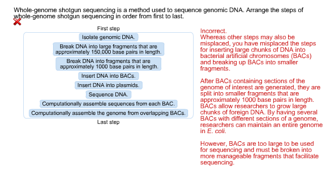 Solved: Whole-genome Shotgun Sequencing Is A Method Used T... | Chegg.com Solved: Whole-genome Shotgun Sequencing Is A Method Used T... | Chegg.com