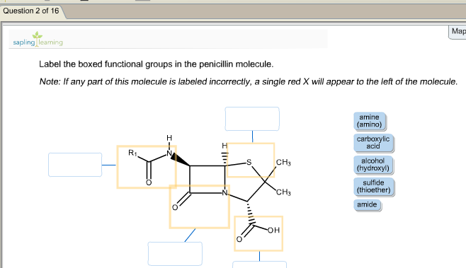 Solved: Label The Boxed Functional Groups In The Penicilli... | Chegg.com