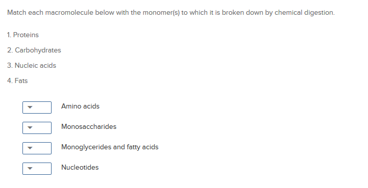 Solved: Match Each Macromolecule Below With The Monomer(s)... | Chegg.com