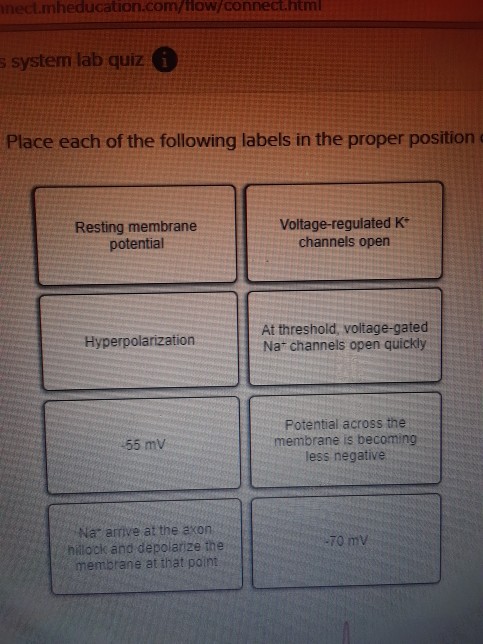 Solved: PLACE EACH OF THE FOLLOWING LABELS IN THE PROPER P... | Chegg.com