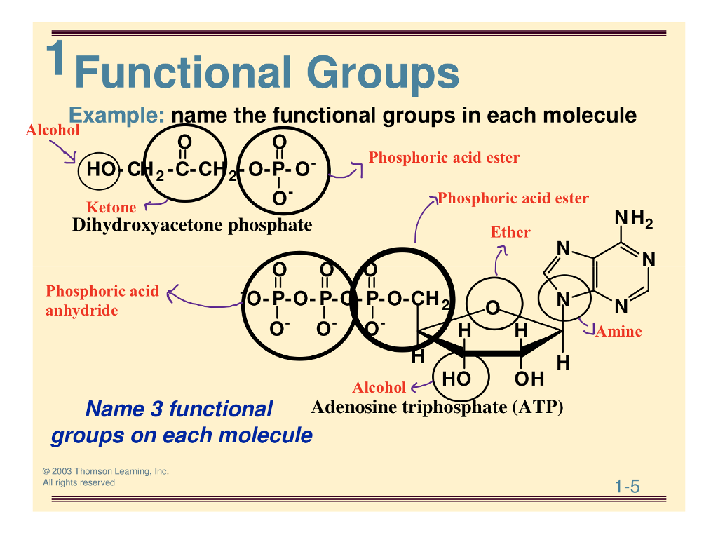 Solved: Functional Groups Example: Name The Functional Gro... | Chegg.com