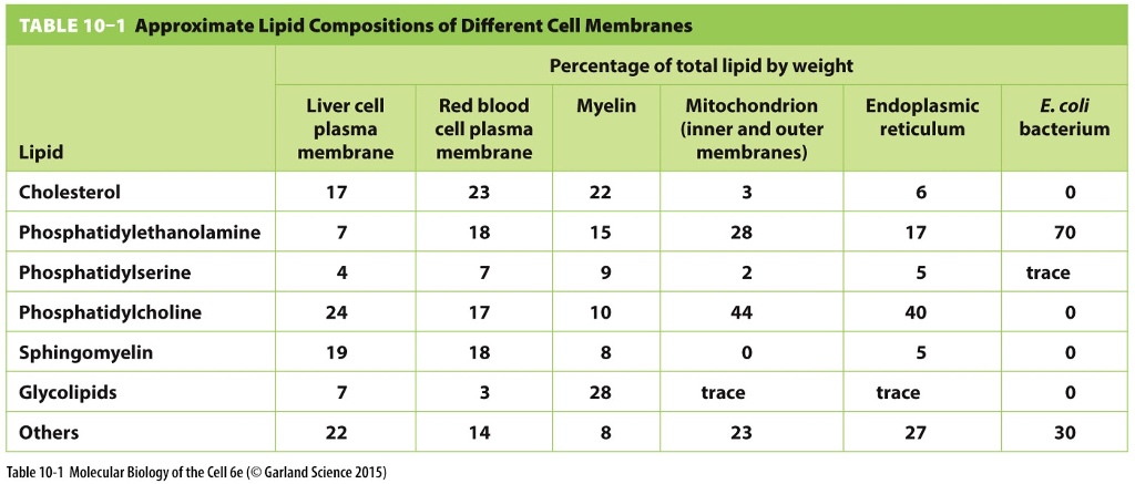 Solved: TABLE 10-1 Approximate Lipid Compositions Of Diffe... | Chegg.com