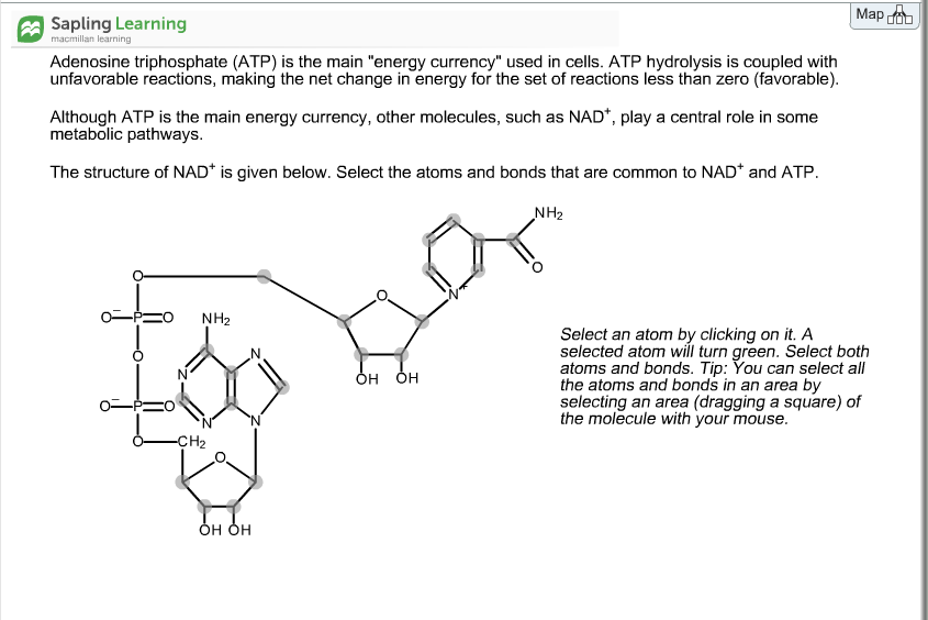Solved: Map Sapling Learning Macmillan Learriing Adenosine... | Chegg.com