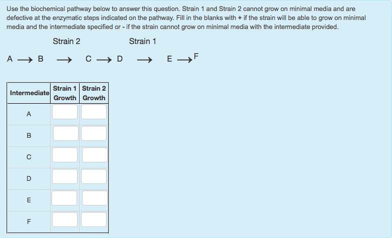 Solved: Use The Biochemical Pathway Below To Answer This Q... | Chegg.com