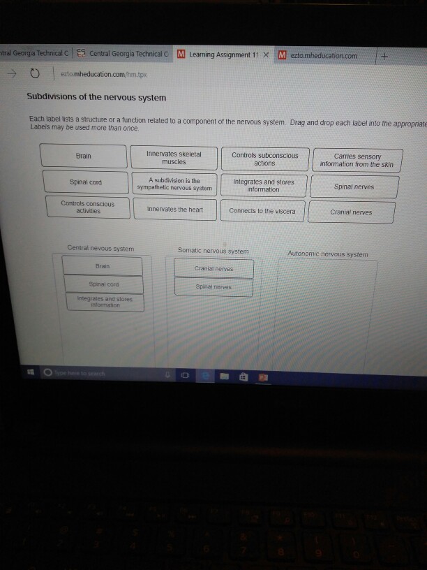 Solved: Each Label Lists A Structure Or A Function Related... | Chegg.com