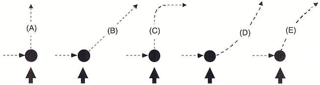 Solved: The Figure Depicts A Hockey Puck Sliding With A Co... | Chegg.com