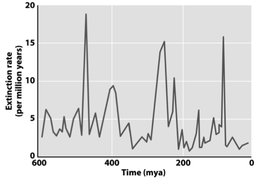 Solved: The Graph Shows The Extinction Rates For Families ... | Chegg.com