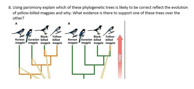 Solved 8. Using parsimony explain which of these | Chegg.com