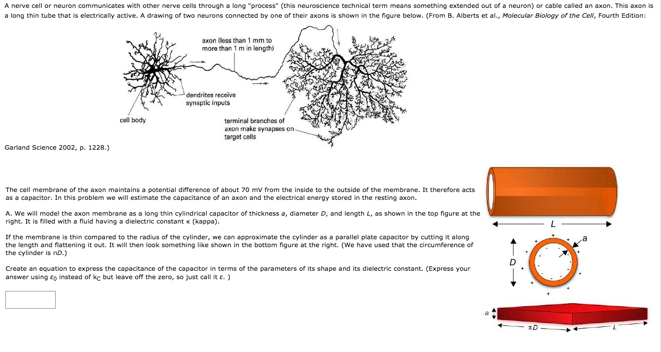 Solved: A Nerve Cell Or Neuron Communicates With Other Ner... | Chegg.com