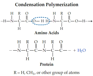Solved: The Polymerization Process Polymers Are Molecules ... | Chegg.com
