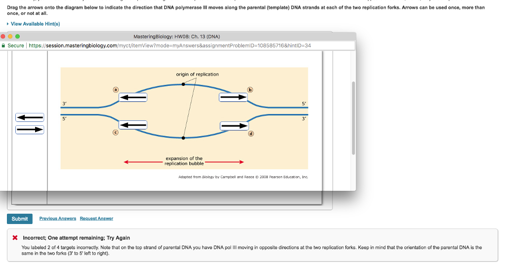 Solved: Drag The Arrows Onto The Diagram Below To Indicate... | Chegg.com