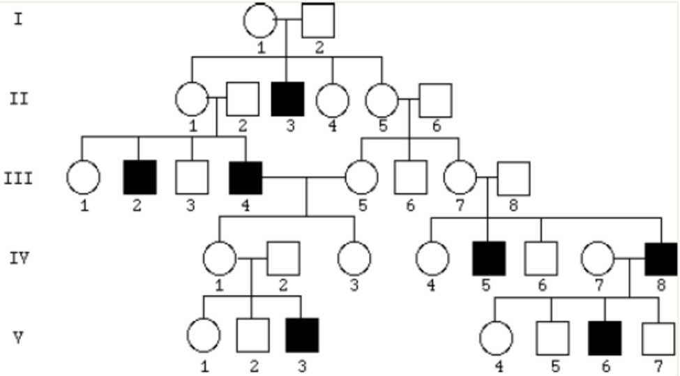 Solved What Is The Most Likely Mode Of Inheritance For Th