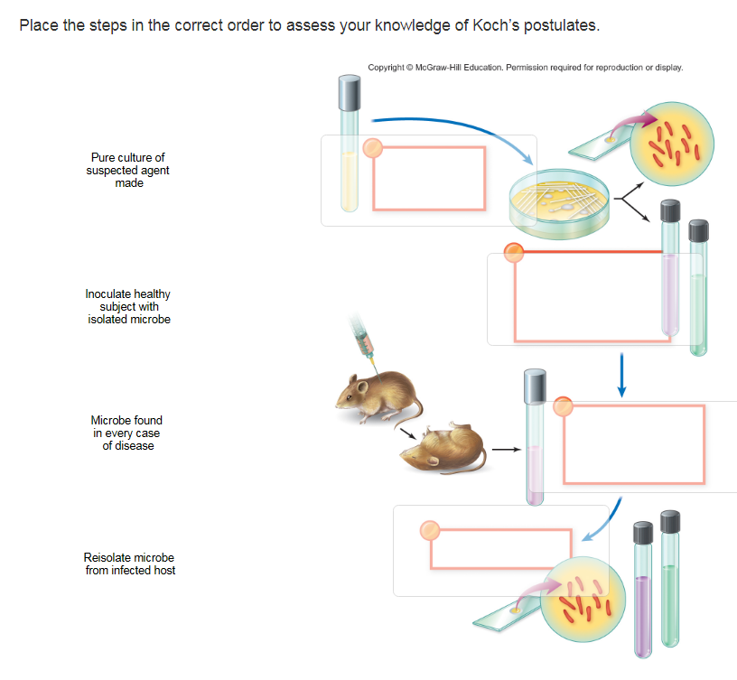 Solved: Place The Steps In The Correct Order To Assess You... | Chegg.com
