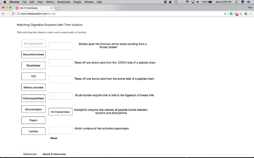 Solved: Matching Digestive Enzymes With Their Actions Clic... | Chegg.com