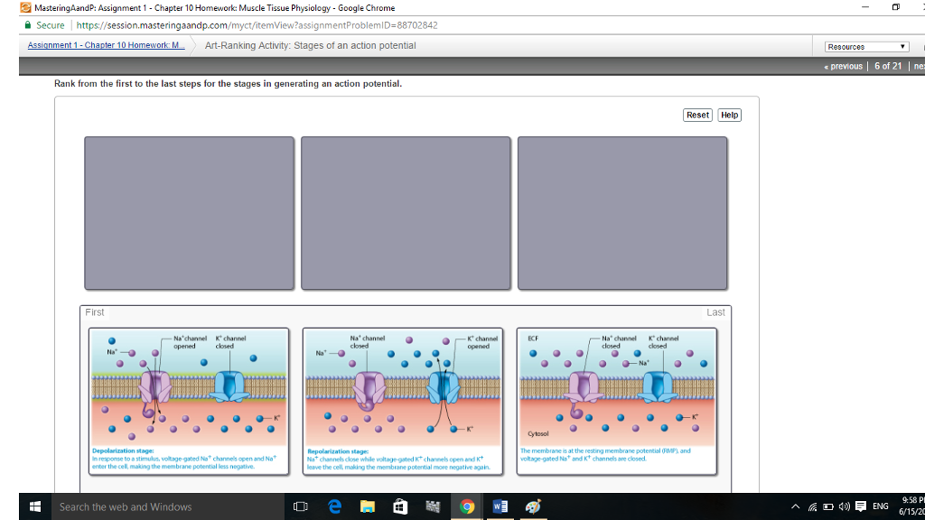 Solved: MasteringAandp: Assignment 1 Chapter 10 Homework: ... | Chegg.com