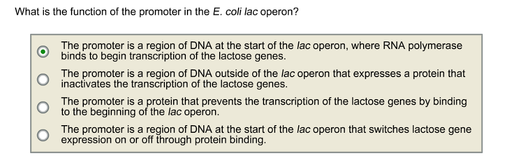 Solved What is the function of the promoter in the E. coli | Chegg.com