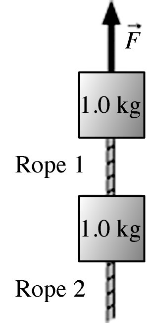 Solved 1 Two Objects Having Masses M1 And M2 Are Connect