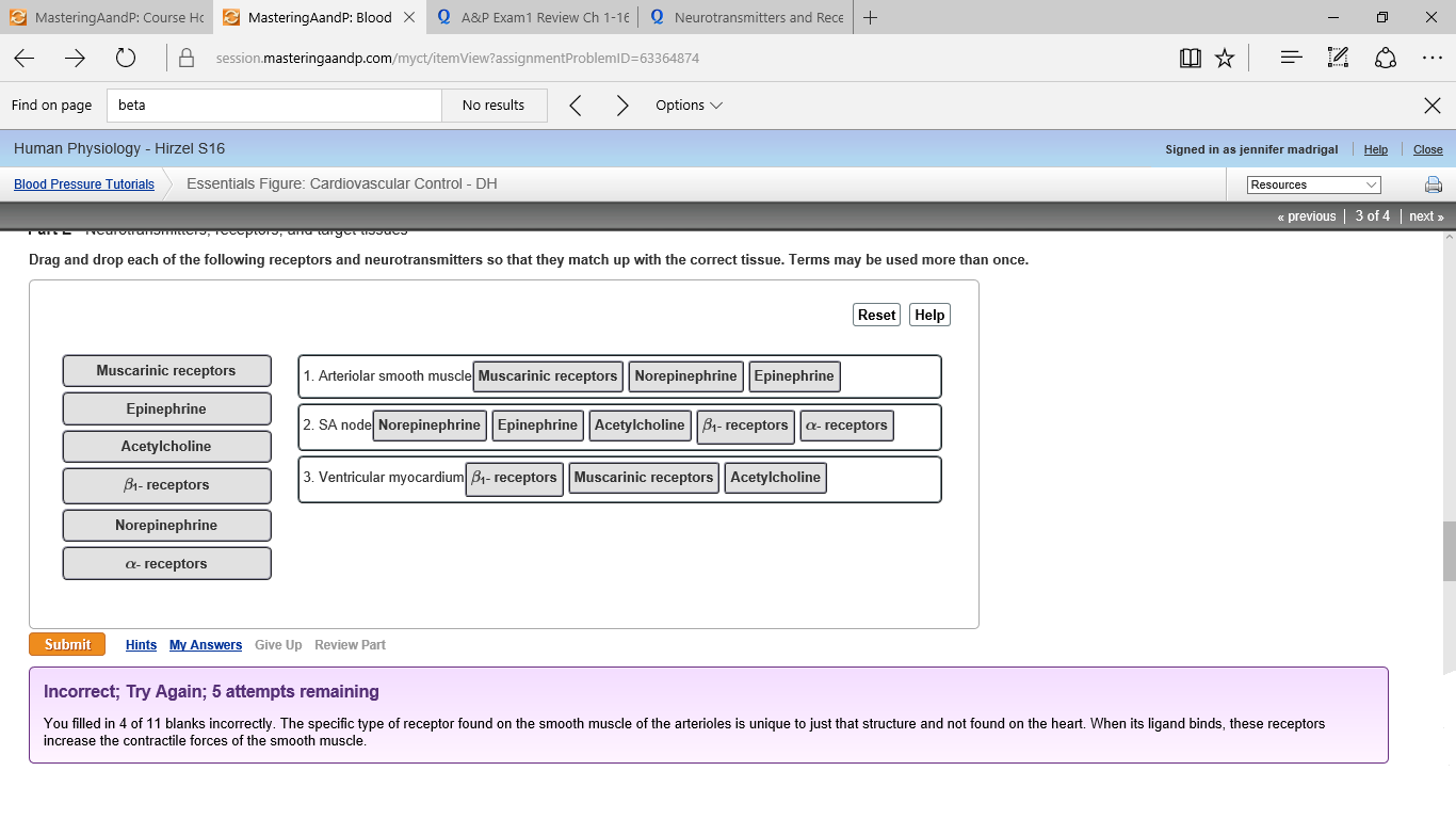 Solved: Drag And Drop Each Of The Following Receptors And ... | Chegg.com