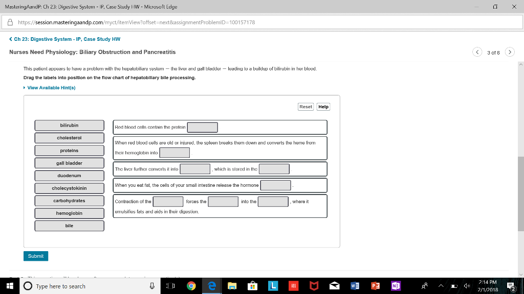 Solved: Part B - Reviewing Bile This Patient Appears To Ha... | Chegg.com