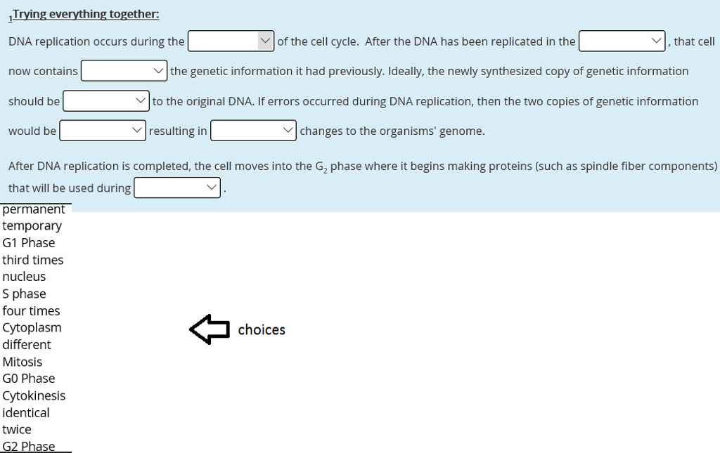 Solved: DNA Replication Occurs During The Of The Cell Cylc... | Chegg.com