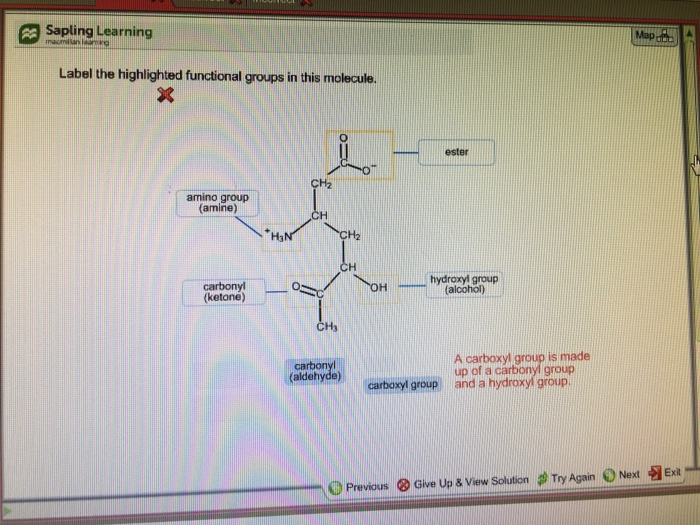 Solved: Sapling Learning Map Label The Highlighted Functio... | Chegg.com