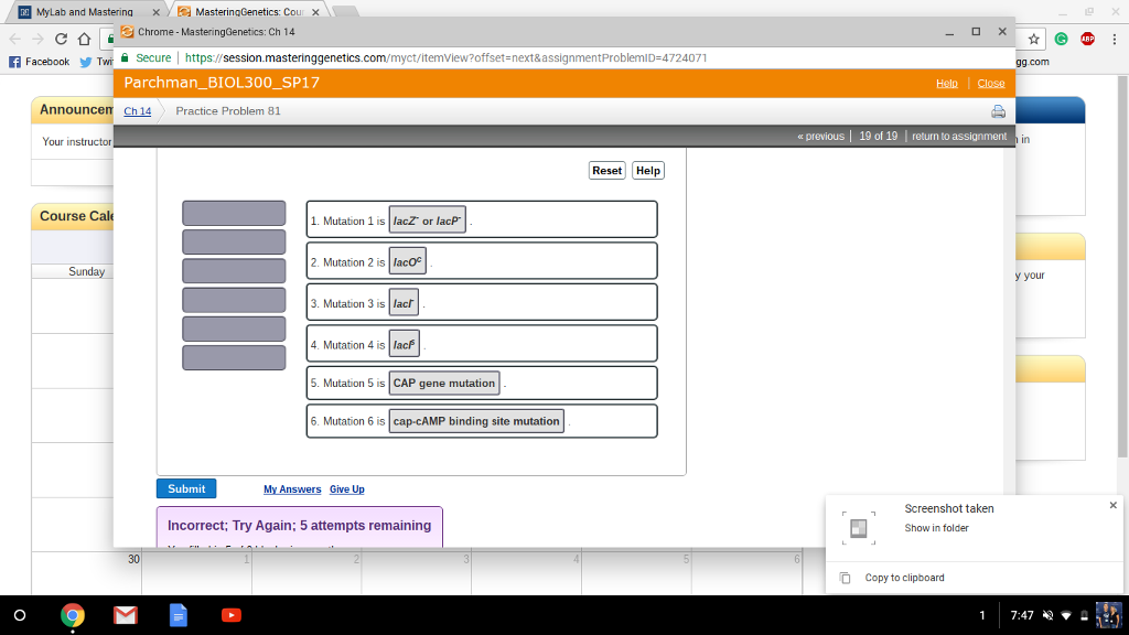 Solved Now Use All The Data To Match The Unknown Mutation