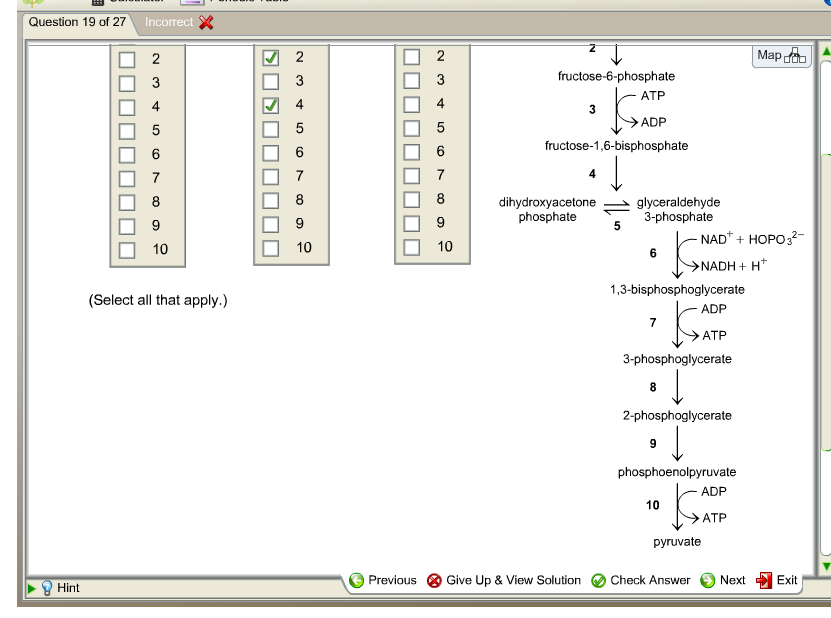 Solved: Sapling Learning The Steps Of Glycolysis Are Shown... | Chegg.com