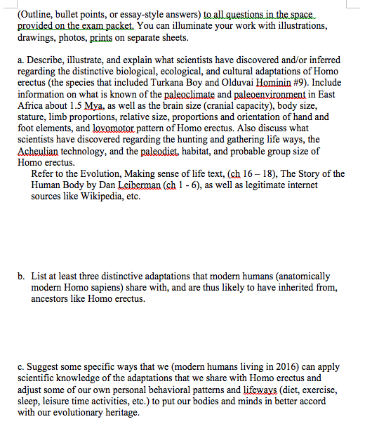 Solved Outline Bullet Points Or Essay style Answers T Chegg