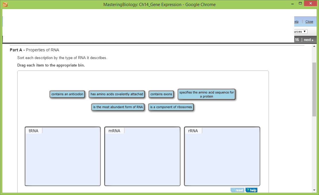 Solved: MasteringBiology: Ch14_Gene Expression - Google Ch... | Chegg.com