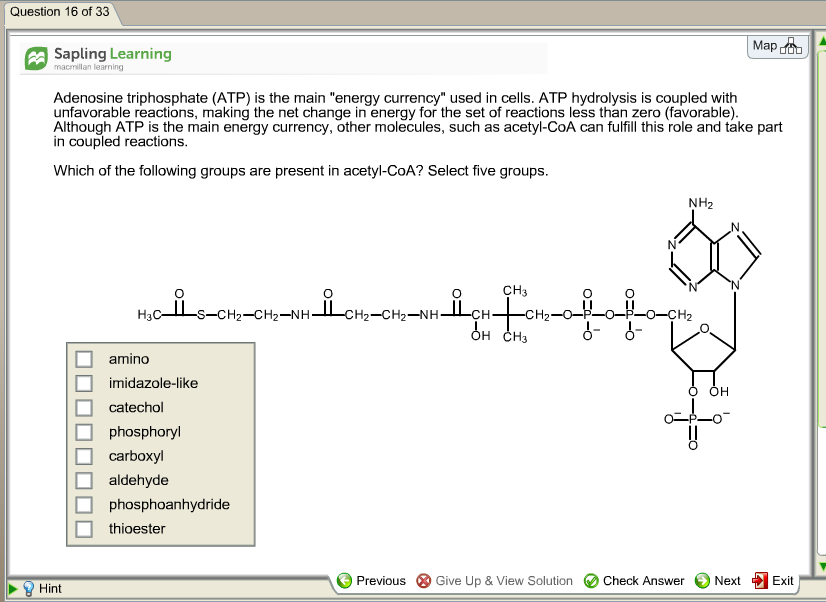 Solved: Question 16 Of 33 Map Sapling Learning Adenosine T... | Chegg.com