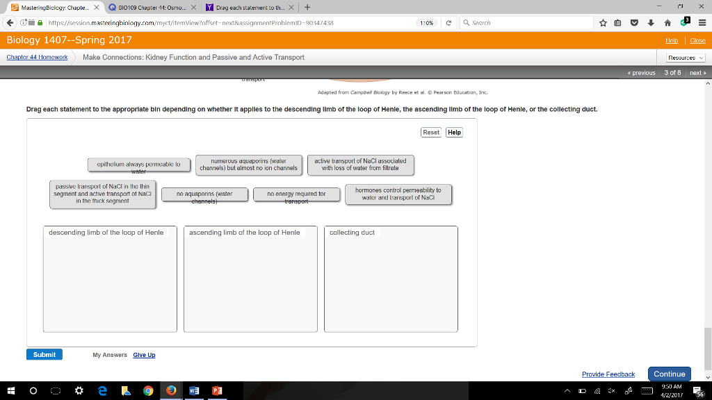 Solved: Drag Each Statement To The Appropriate Bin Dependi... | Chegg.com