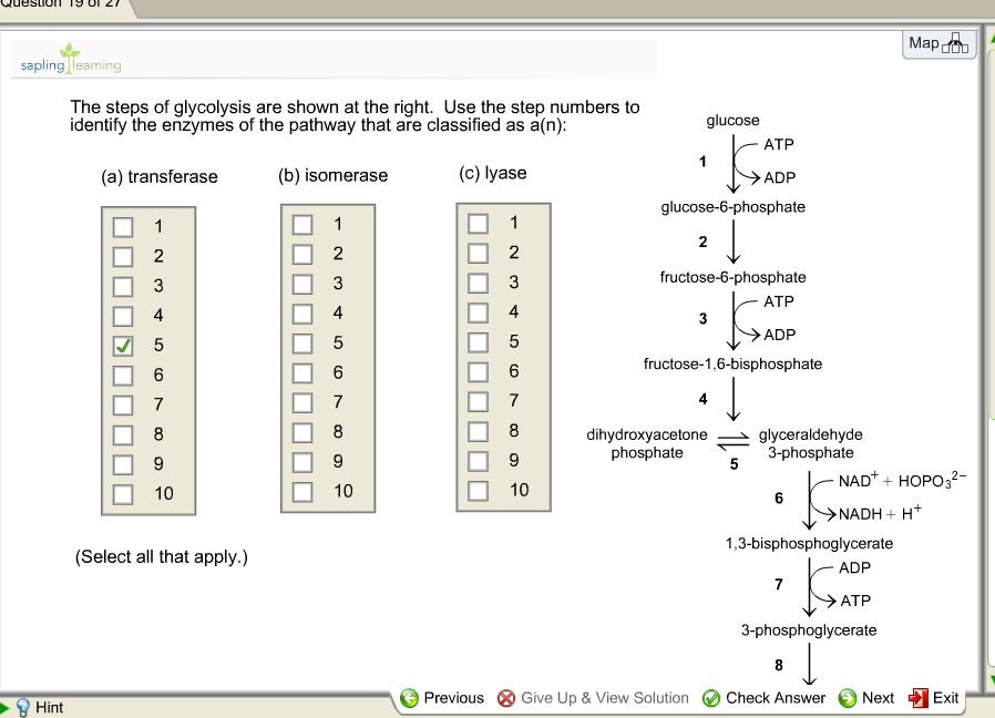 Solved: Sapling Learning The Steps Of Glycolysis Are Shown... | Chegg.com