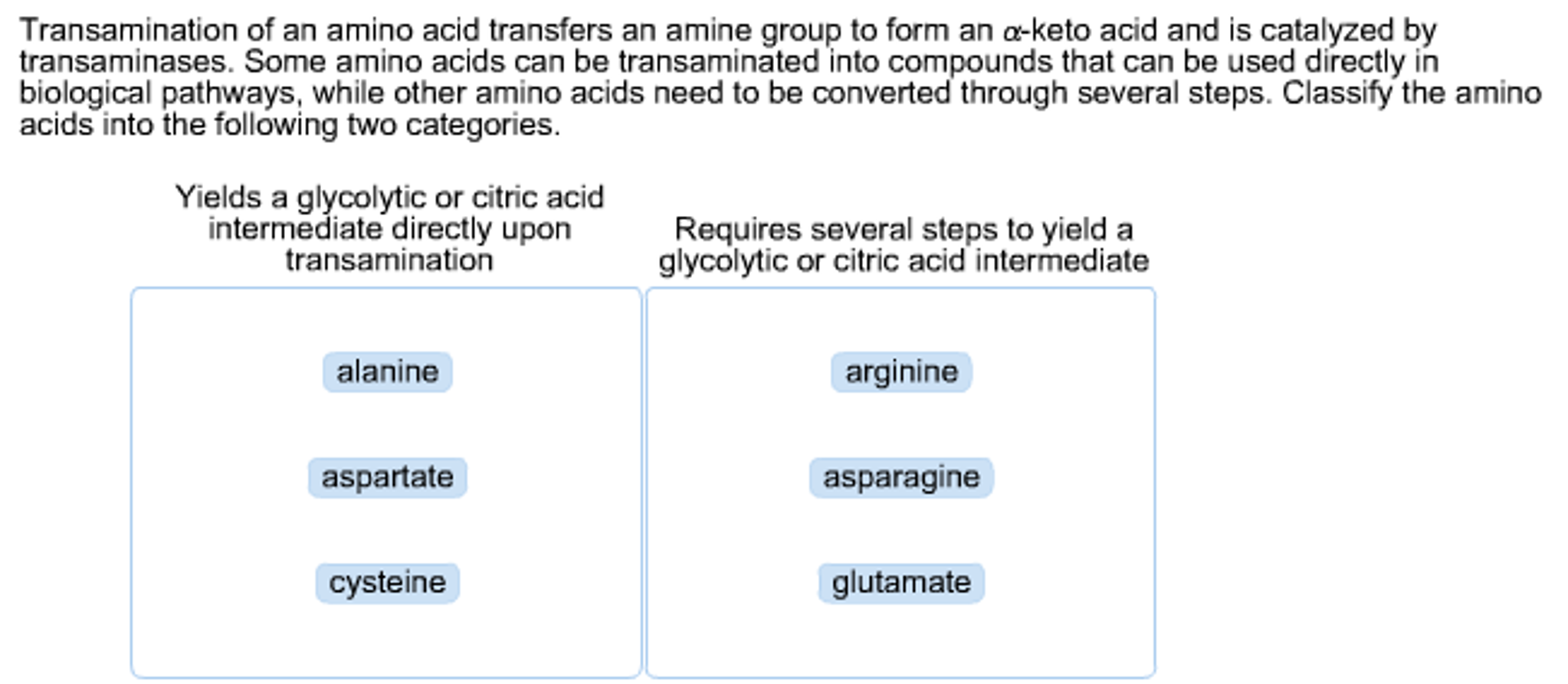 Amino Acid Transamination List at Gary Delariva blog