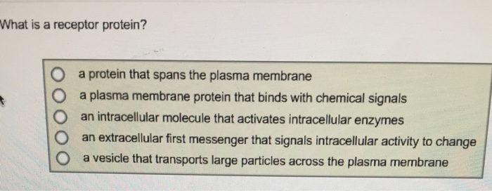 Solved What is a receptor protein? bullet a protein that | Chegg.com