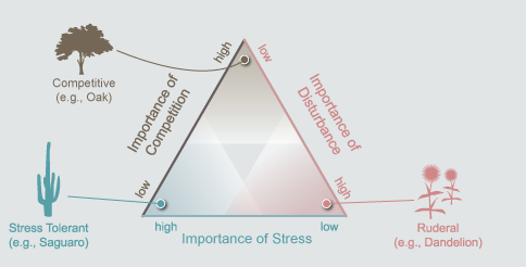 Solved: Q4.18. Recall Grime's Life History Classification,... | Chegg.com