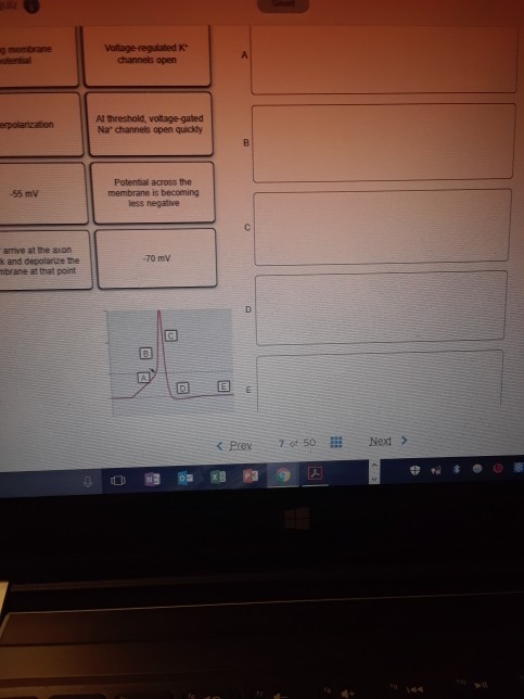 Solved: PLACE EACH OF THE FOLLOWING LABELS IN THE PROPER P... | Chegg.com