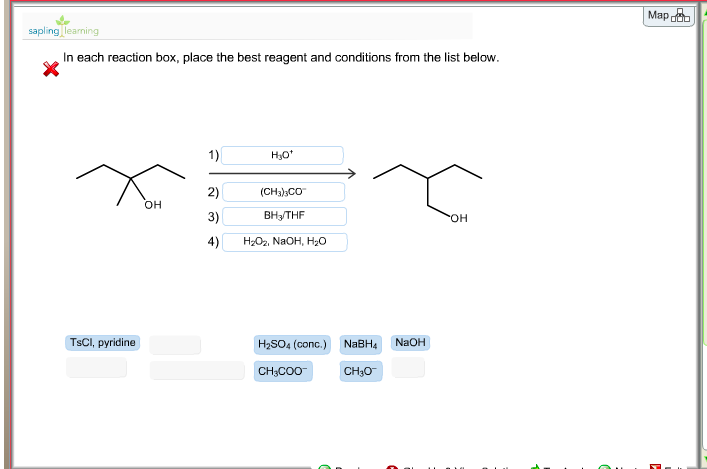 Solved: Map Sapling Learning In Each Reaction Box, Place T... | Chegg.com Solved: Map Sapling Learning In Each Reaction Box, Place T... | Chegg.com