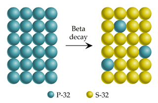 Solved: Question 1: Phosphorus-32 () Decays By Beta Emissi... | Chegg.com