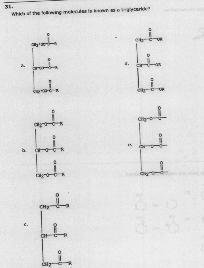Solved Which of the following molecules is known as a | Chegg.com